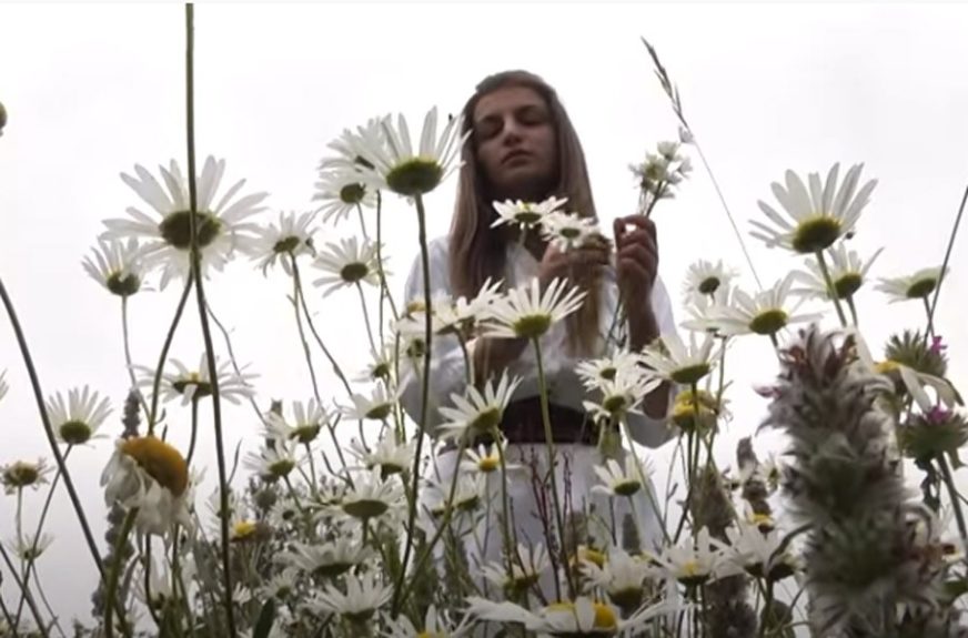 Bijela rada ili grančica vrbe: Na veliki praznik Cvijeti cvijeće ima ...